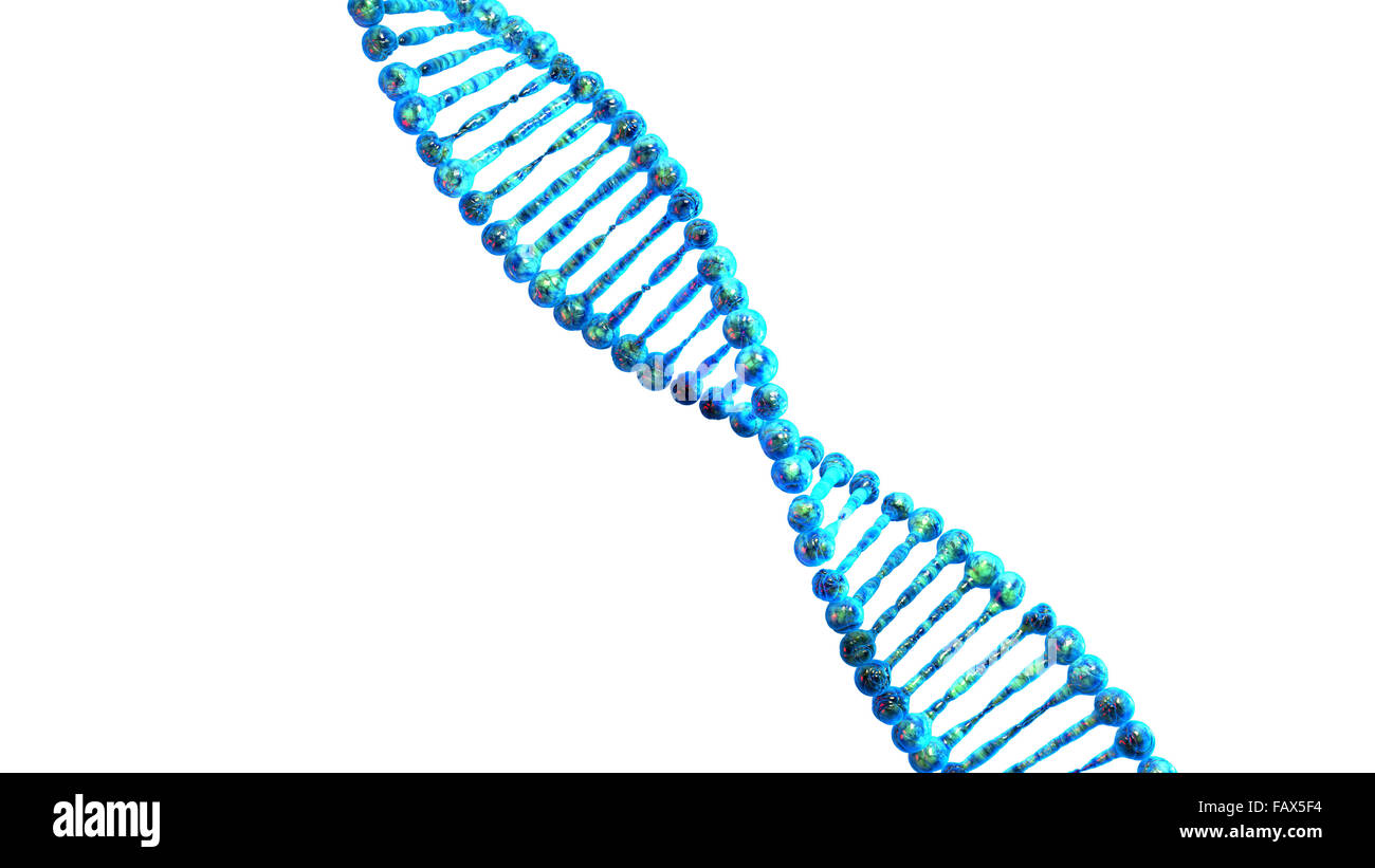 High resolution 3d render of human dna string Stock Photo - Alamy