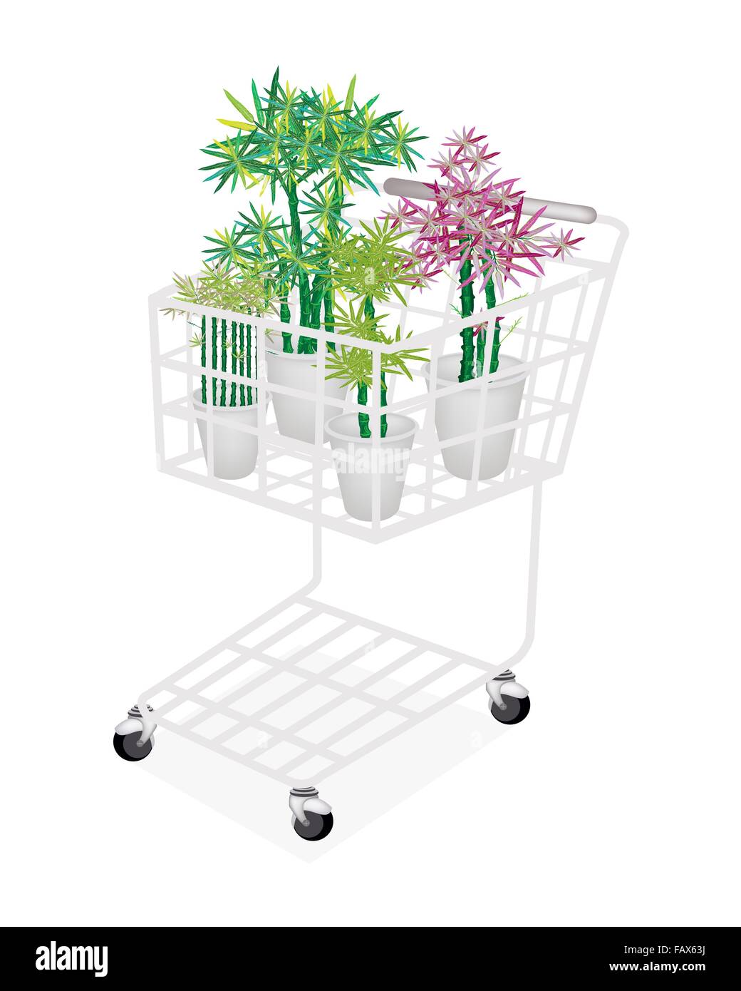 A Shopping Cart Full with Bamboo Trees in A Flowerpot for Garden ...