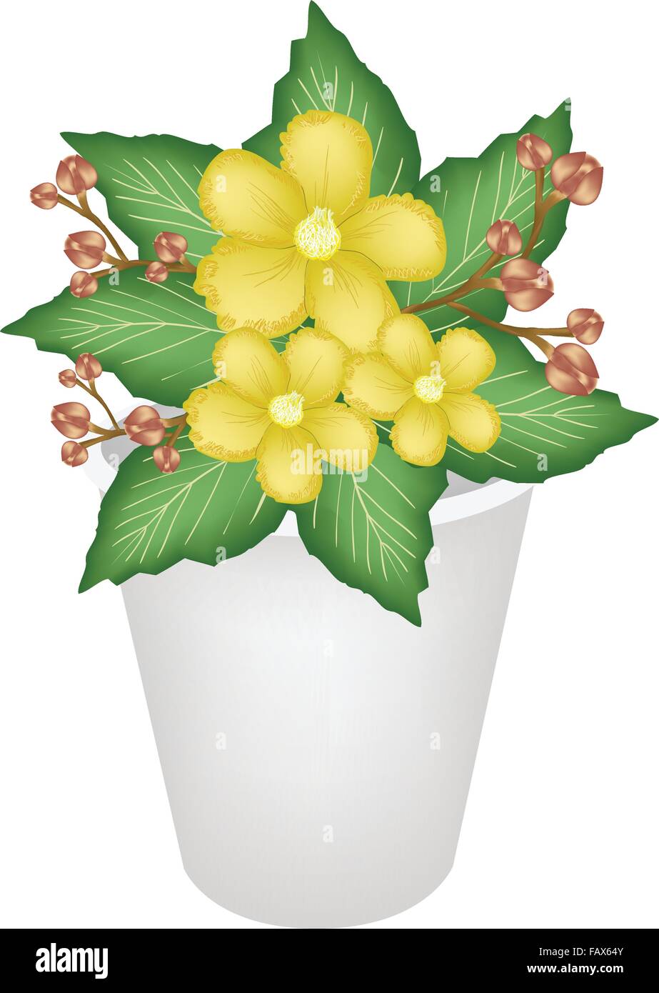 Brunei flower illustration simpor flowers hi-res stock photography and ...