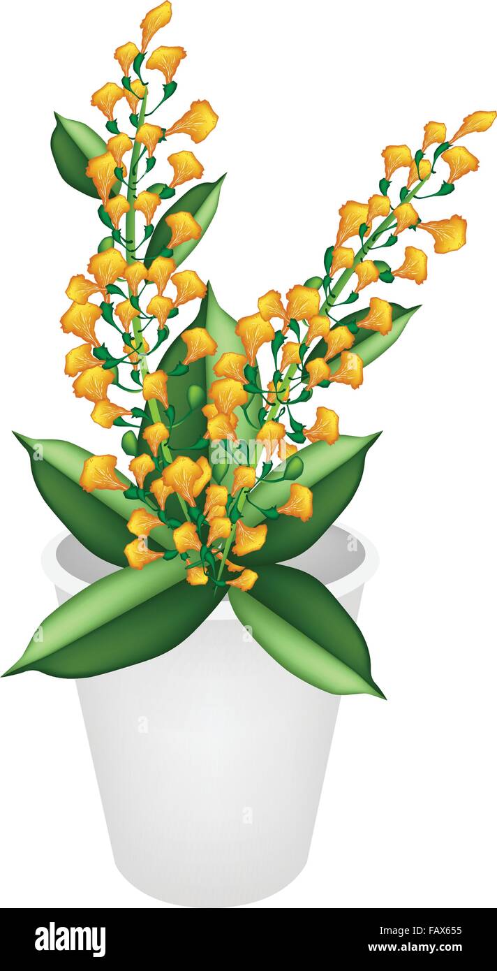 Flora of myanmar Stock Vector Images - Alamy