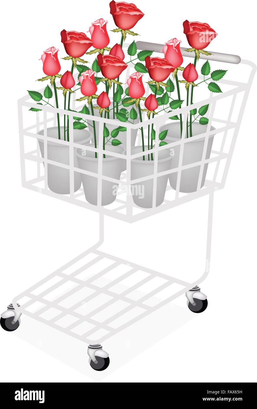 A Symbol of Love, A Shopping Cart Full with Beautiful Red Roses in ...