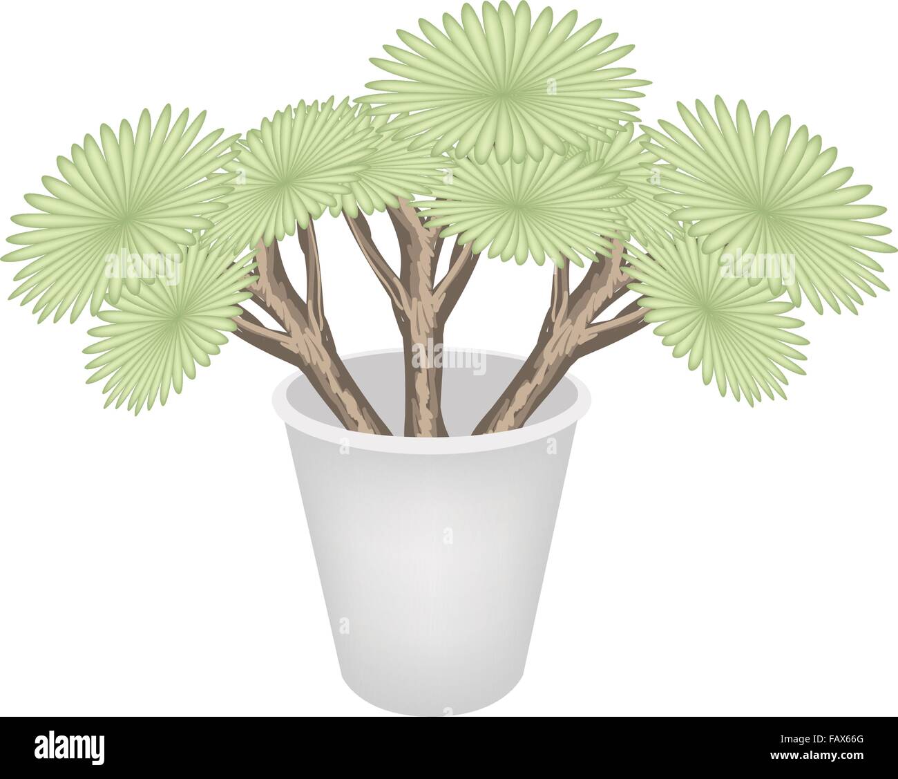 Ecological Concept, An Illustration Green Trees and Plants of Dragon ...