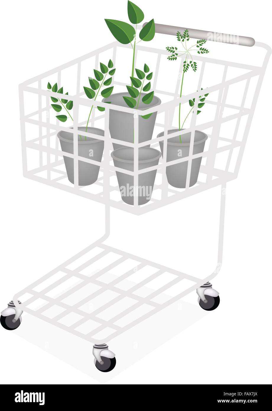 Ecological Concept, A Shopping Cart Full with Various Style of Green ...