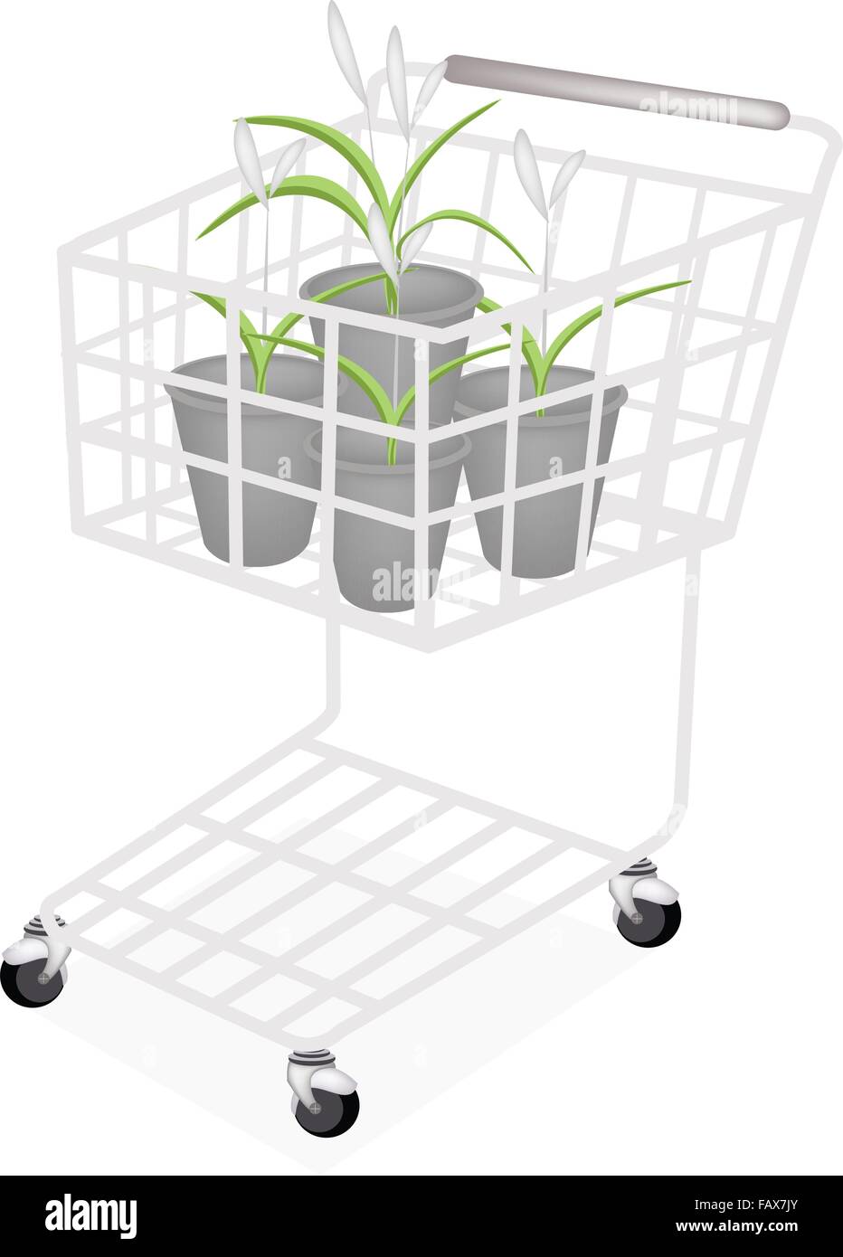 Full inflorescence Stock Vector Images - Alamy