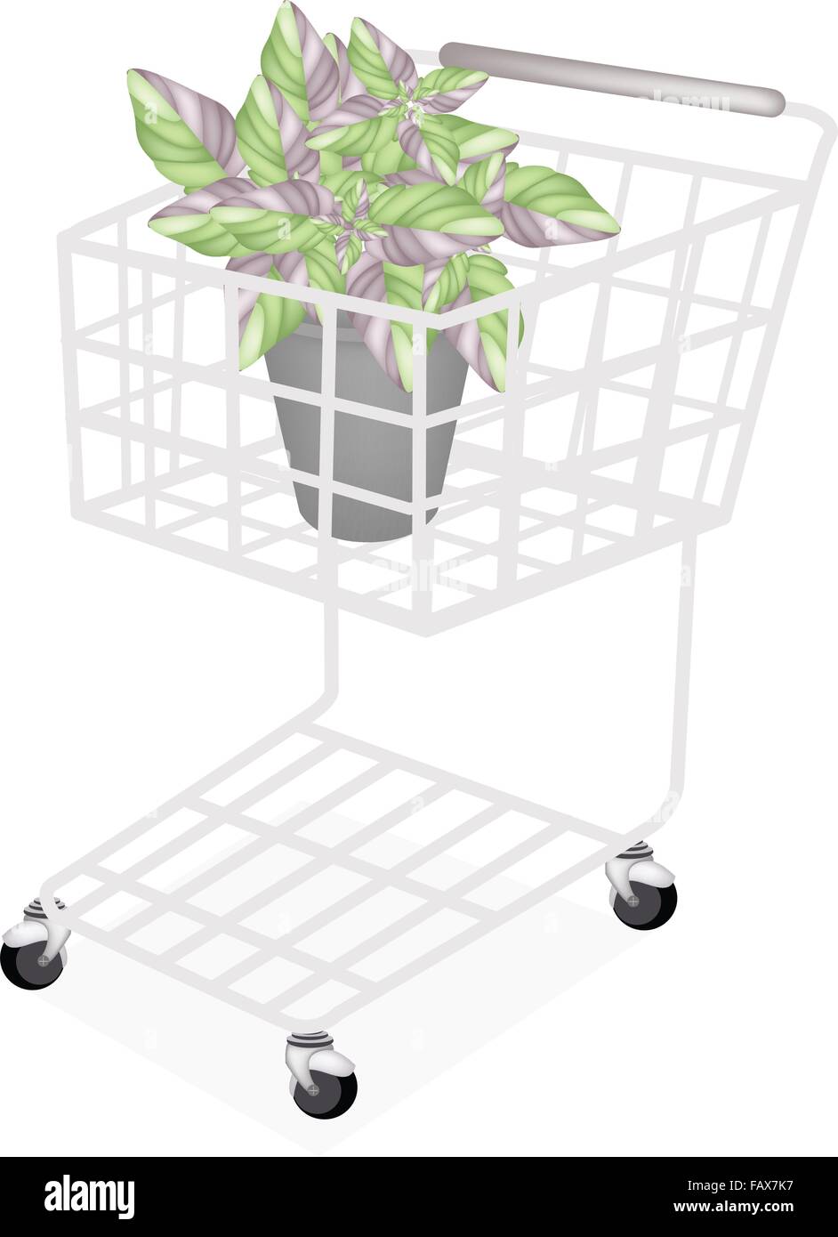 Ecological Concept, A Shopping Cart Full with Argyroneura Plant in ...