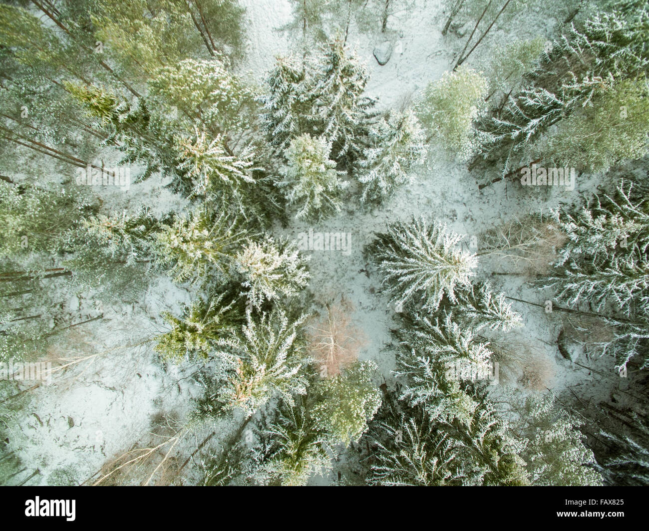 Bird Perspective High Resolution Stock Photography and Images - Alamy