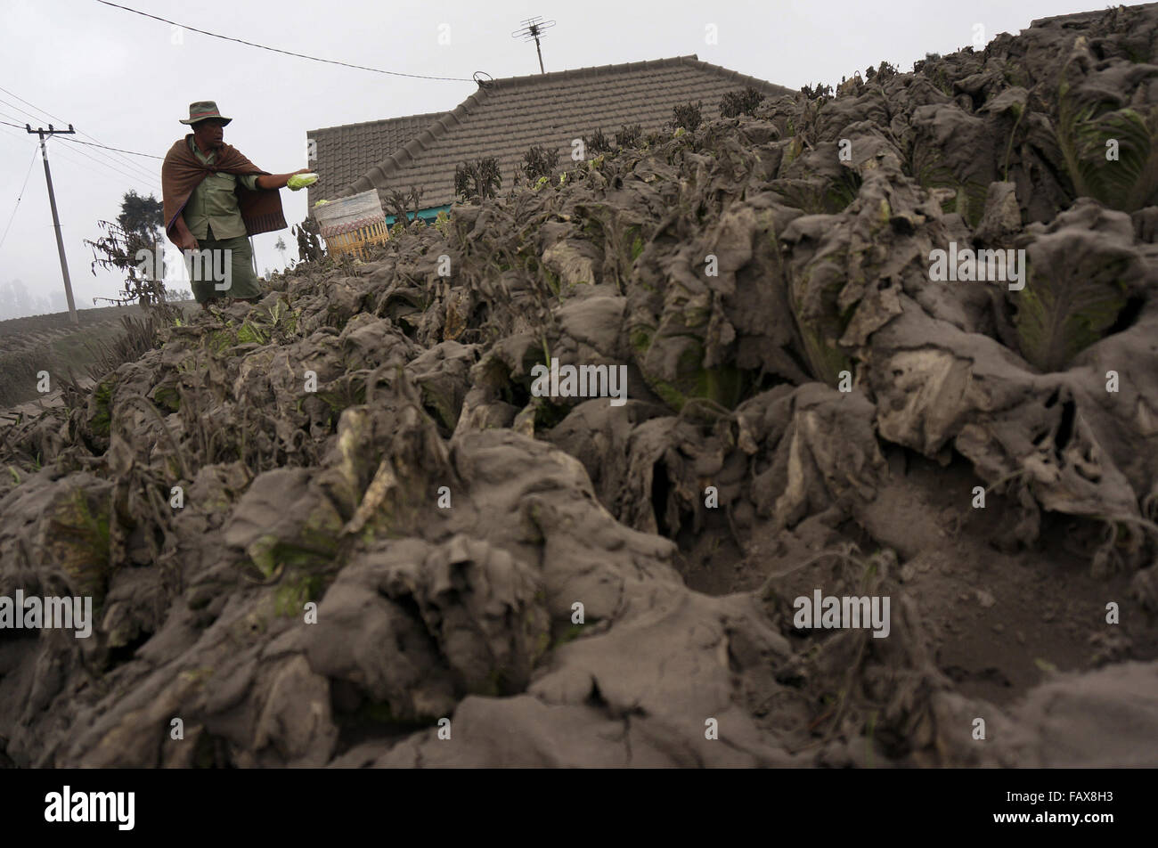 Land covered with volcanic ash hi-res stock photography and images - Alamy