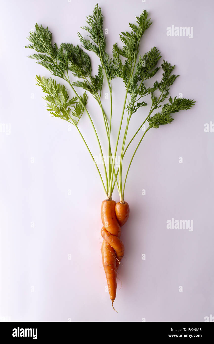 Twisted carrot hi-res stock photography and images - Alamy