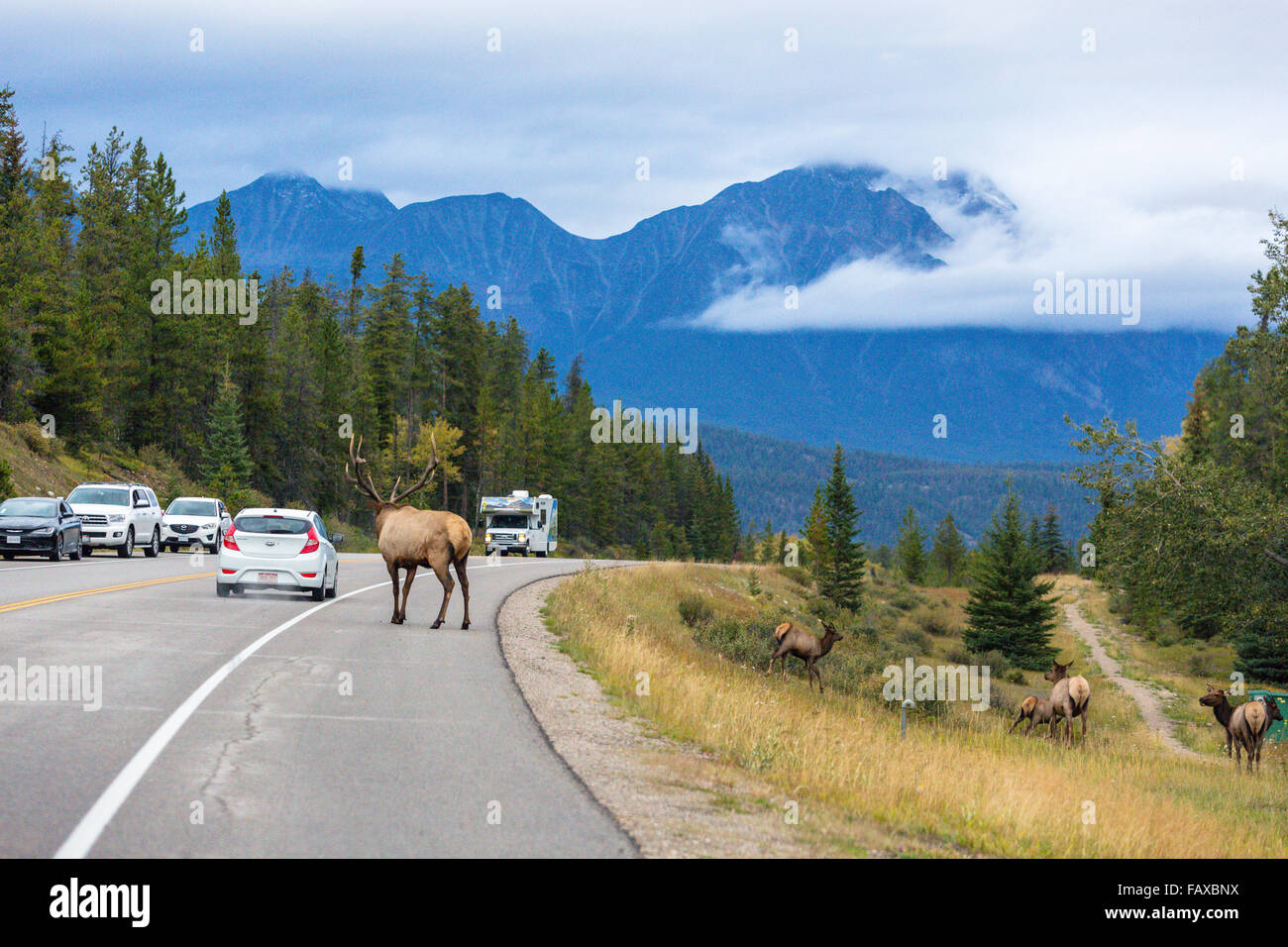 Jasper alberta canada street hi-res stock photography and images - Alamy