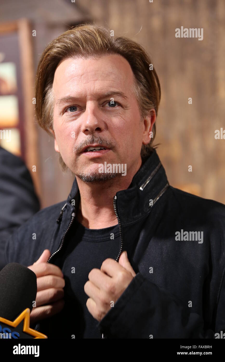 Premiere Of Netflix's "The Ridiculous 6" - Arrivals Featuring: David ...