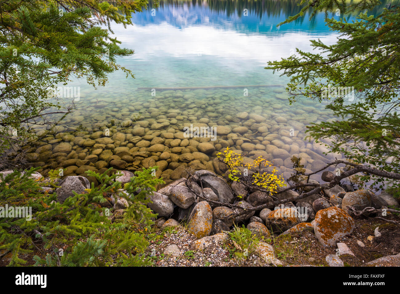 Lac Beauvert, Lake, Jasper Nationalpark, Alberta, Canada Stock Photo ...