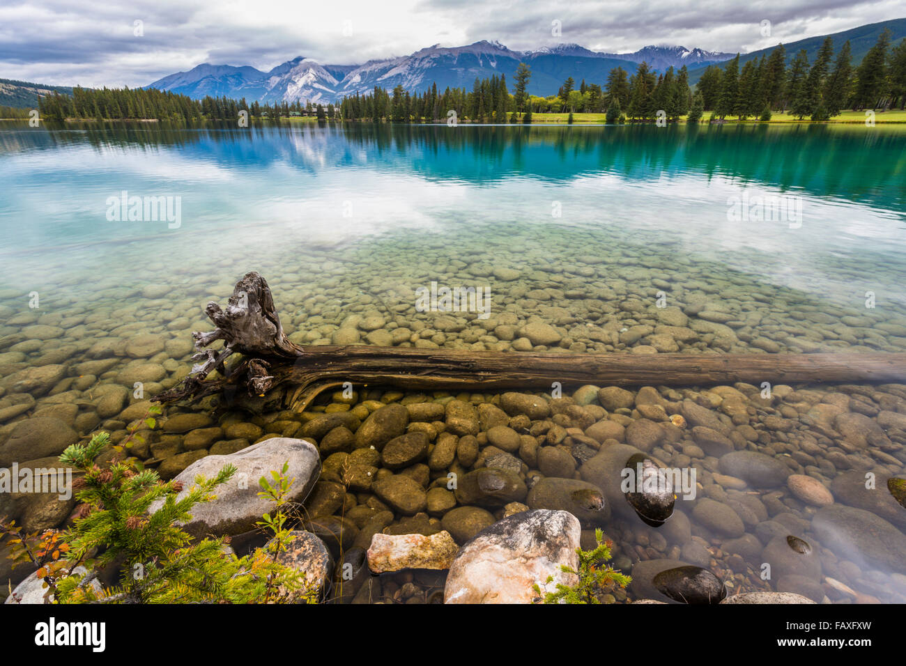 Lac Beauvert, Colin Range, Lake, Jasper Nationalpark, Alberta, Canada ...