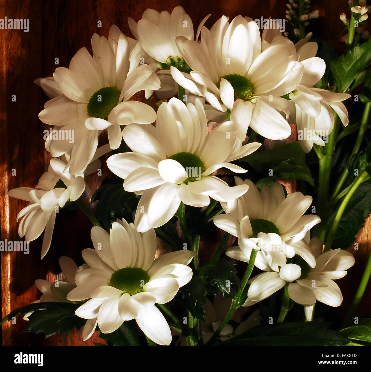 White bunch of flowers hi-res stock photography and images - Alamy