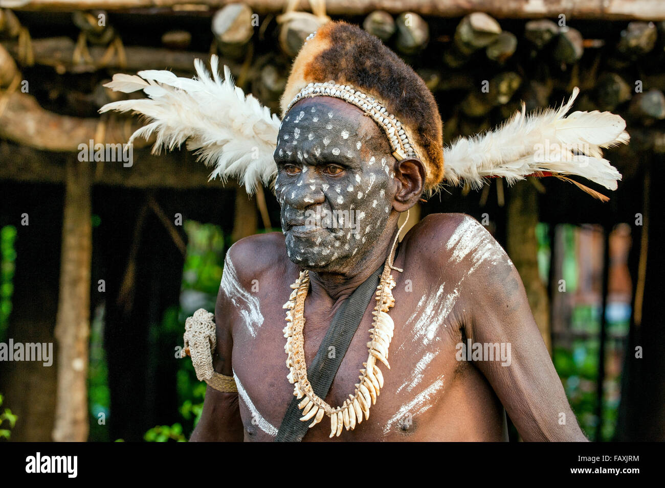 Asmat with a traditional painting on a face, cap from cuscus and ...