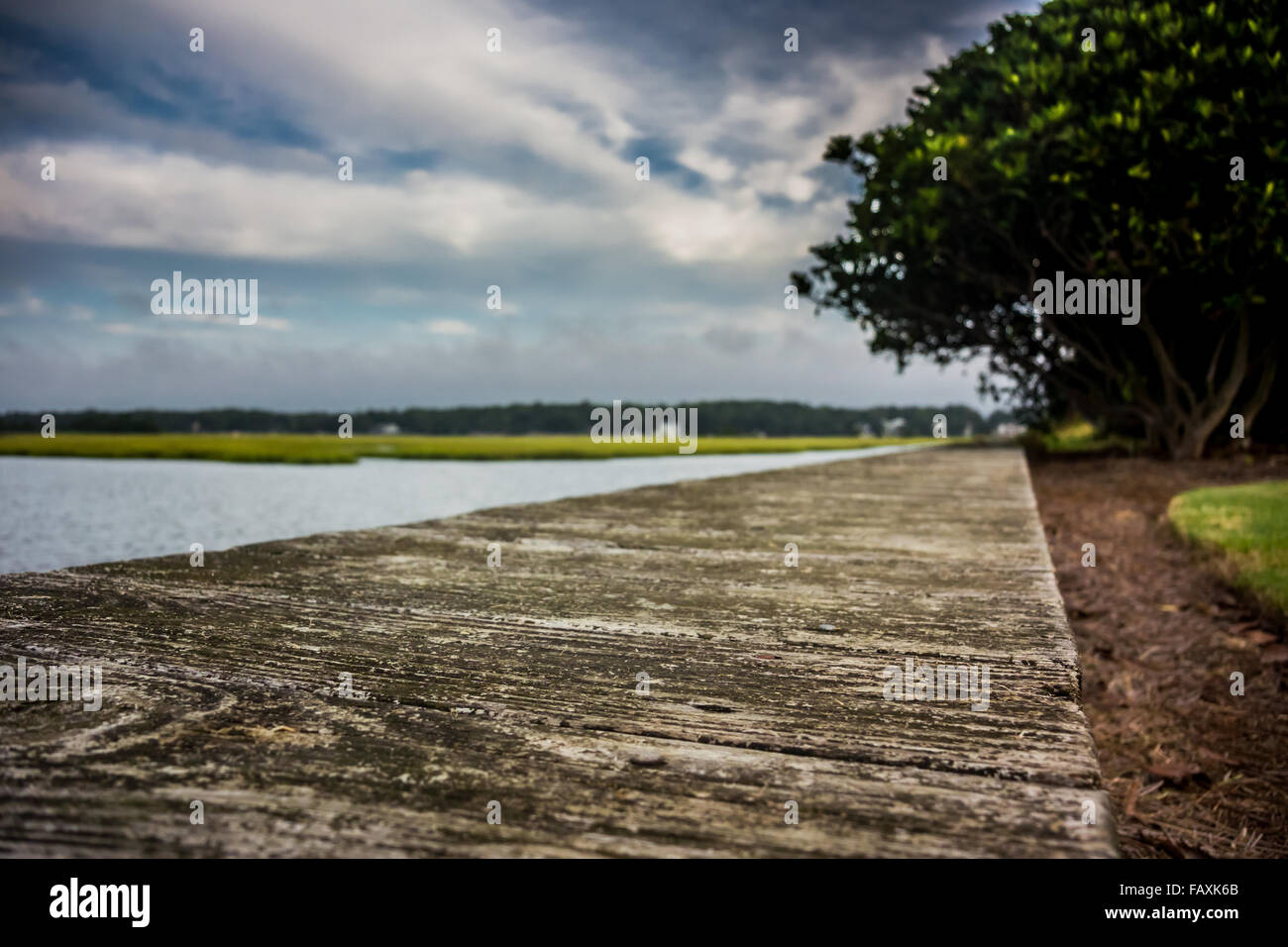 Looking down a narrow boardwalk along a marsh and inlet in North ...
