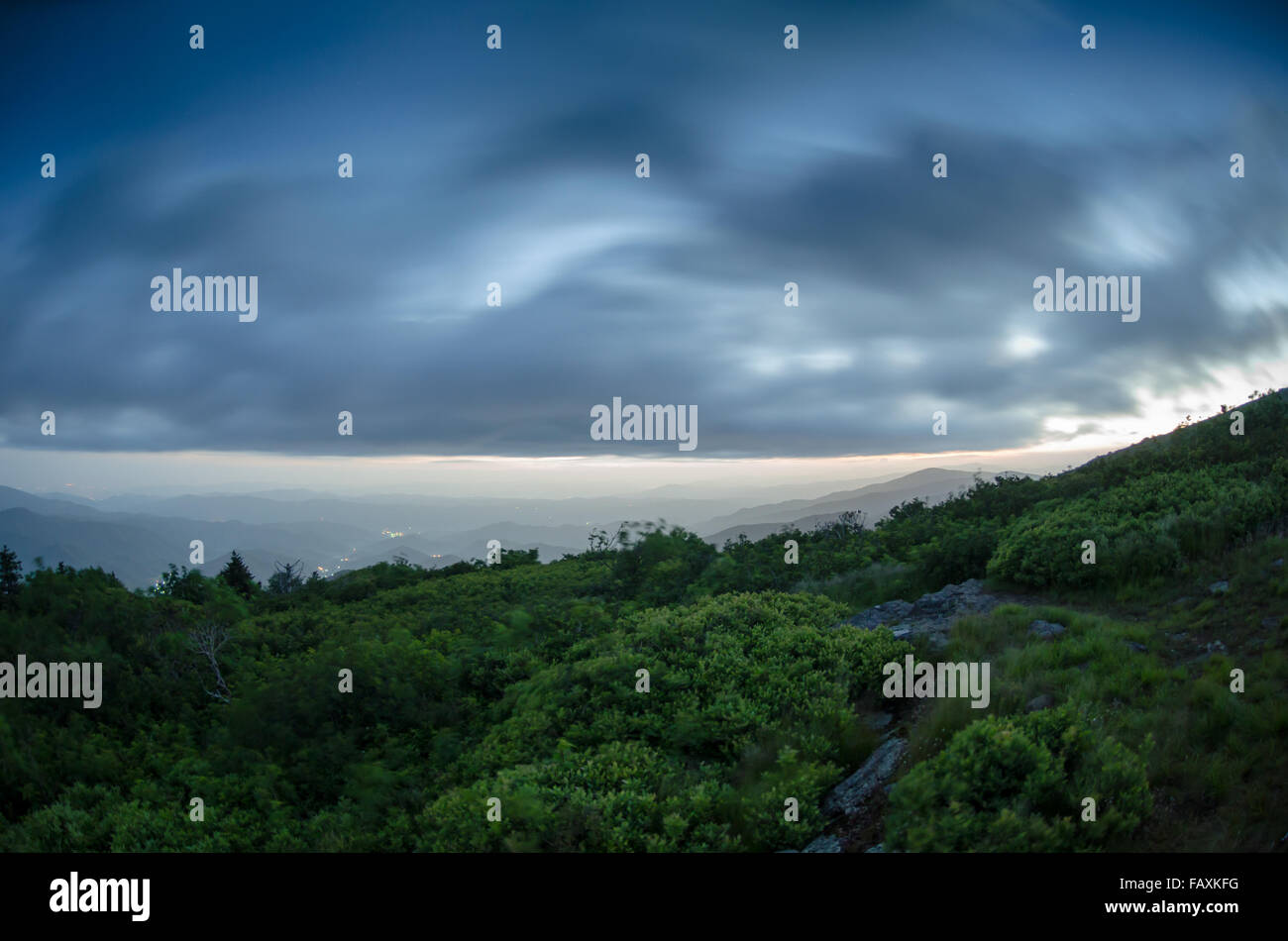 A long exposure captures the brush and skies moving across Jane Bald ...