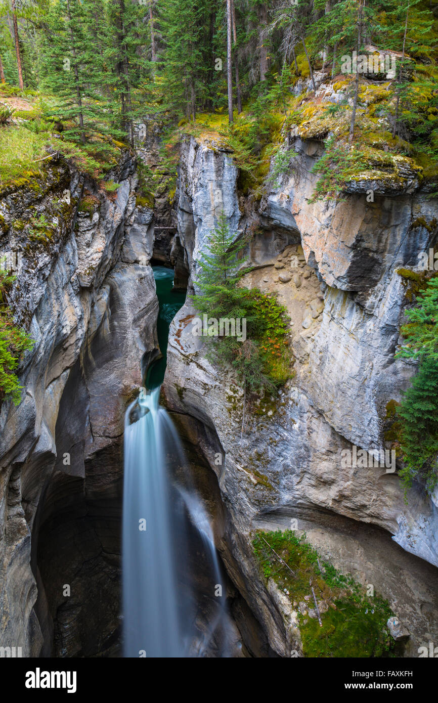 Waterfall in the Maligne Canyon, Jasper Nationalpark, Alberta, Canada ...