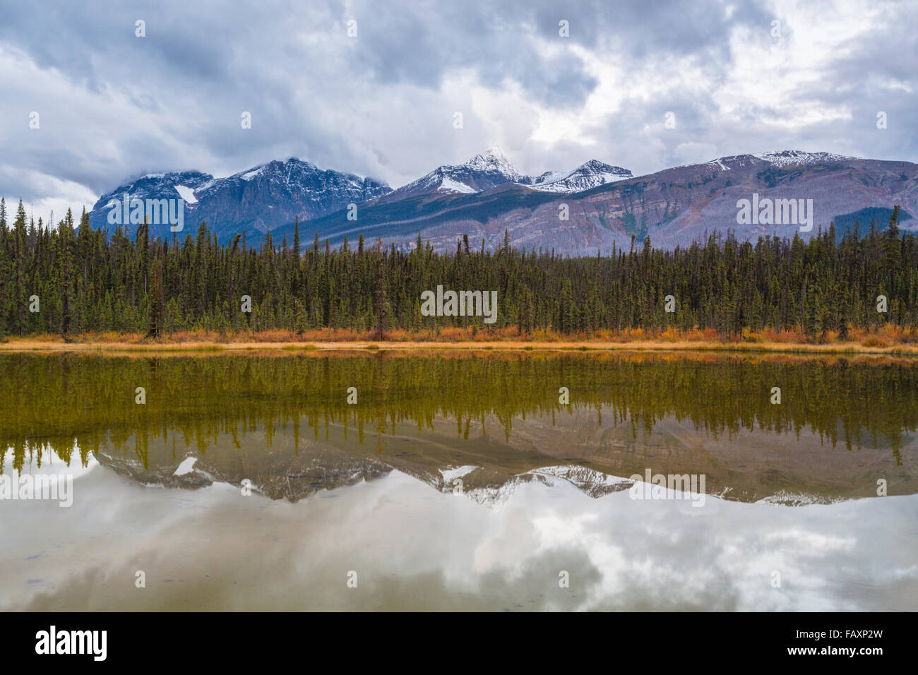 Fryatt Ponds, Jasper Nationalpark, Alberta, Canada Stock Photo - Alamy