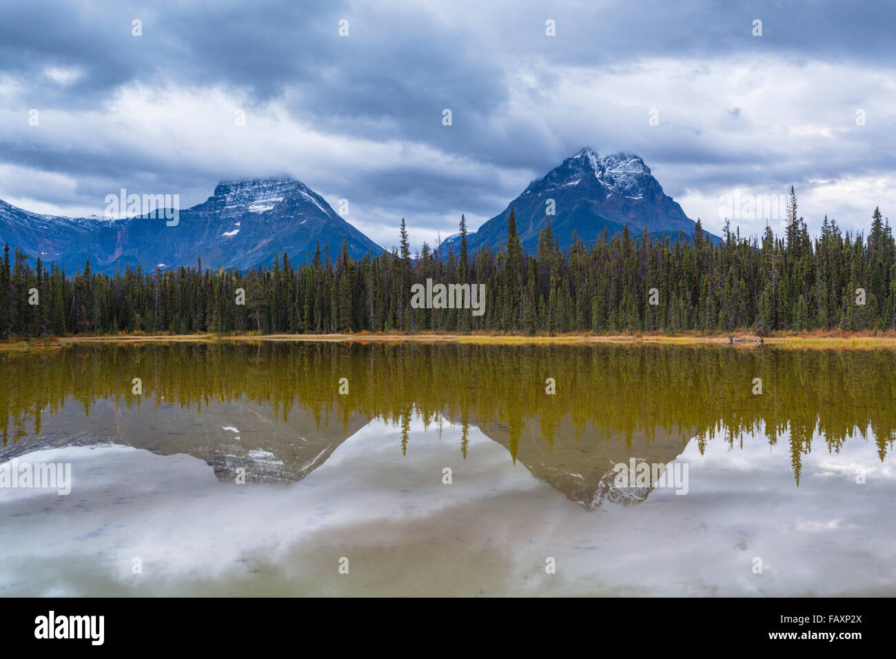 Fryatt Ponds, Whirlpool Mountain, Mount Geraldine, Jasper Nationalpark ...
