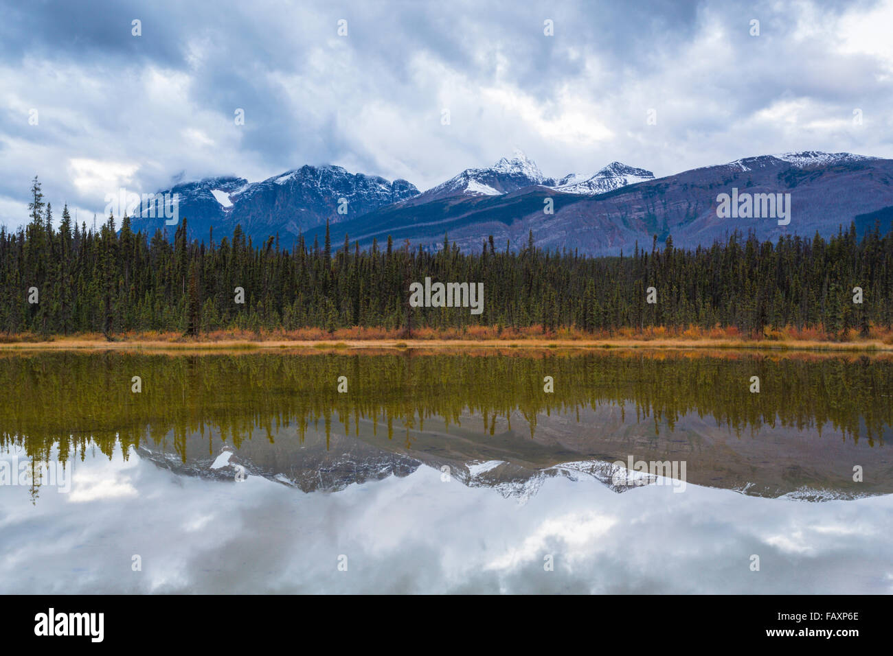 Fryatt Ponds, Jasper Nationalpark, Alberta, Canada Stock Photo - Alamy