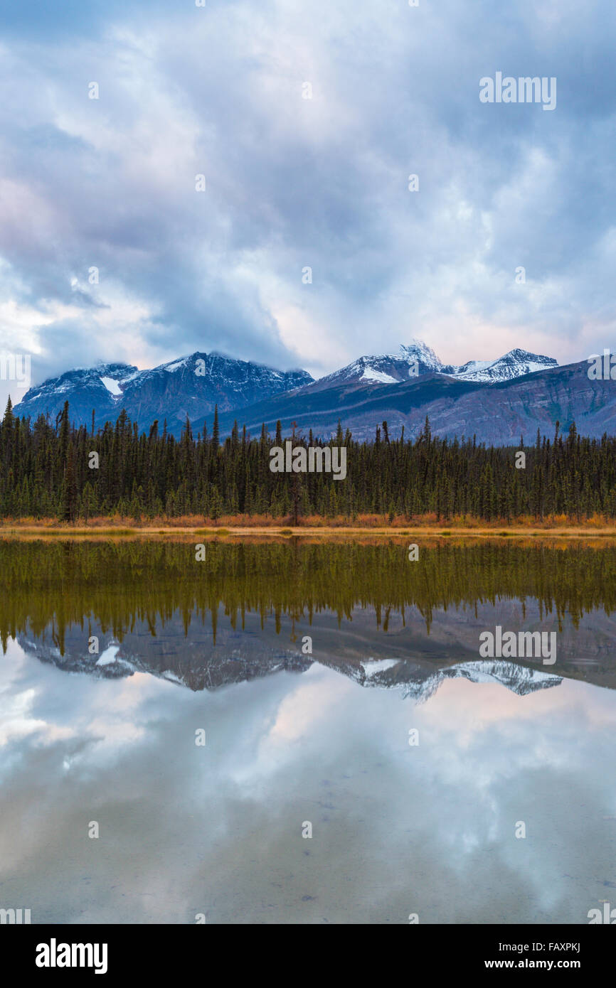 Human ponds hi-res stock photography and images - Alamy