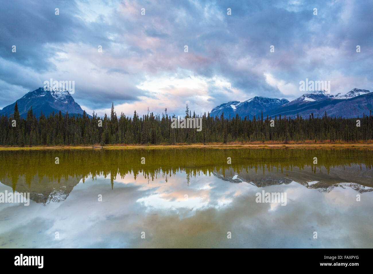 Fryatt Ponds, Whirlpool Mountain, Mount Geraldine, Jasper Nationalpark ...