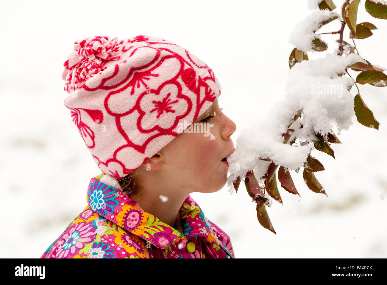 Young girl eating freshly fallen snow Stock Photo - Alamy