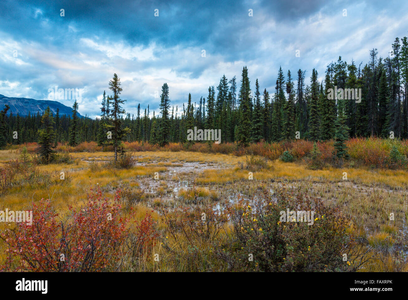 Human ponds hi-res stock photography and images - Alamy