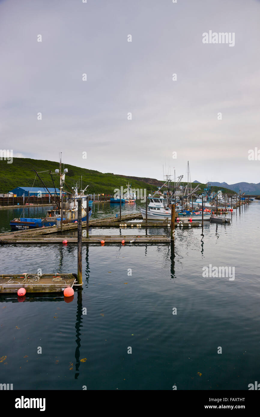 Fishing boats docked in the Sand Point Harbor with coastal bluffs in ...