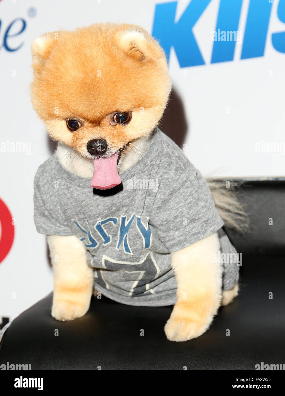 KIIS FM's iHeartRadio Jingle Ball 2015 at Microsoft Theater - Arrivals ...