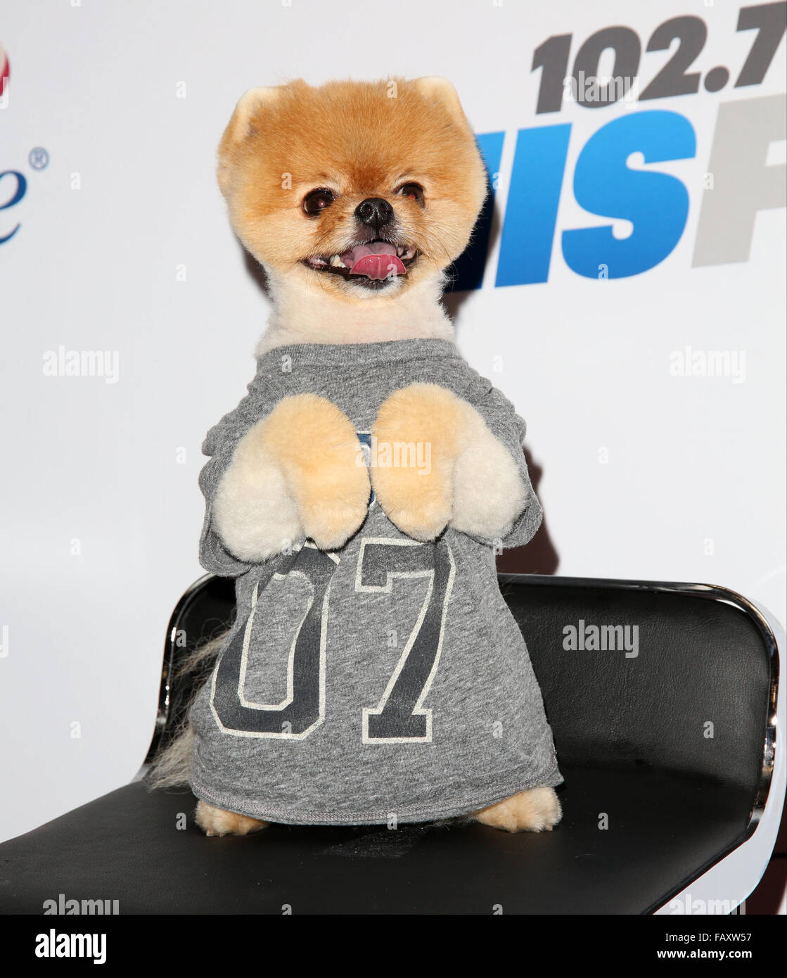 KIIS FM's iHeartRadio Jingle Ball 2015 at Microsoft Theater - Arrivals ...