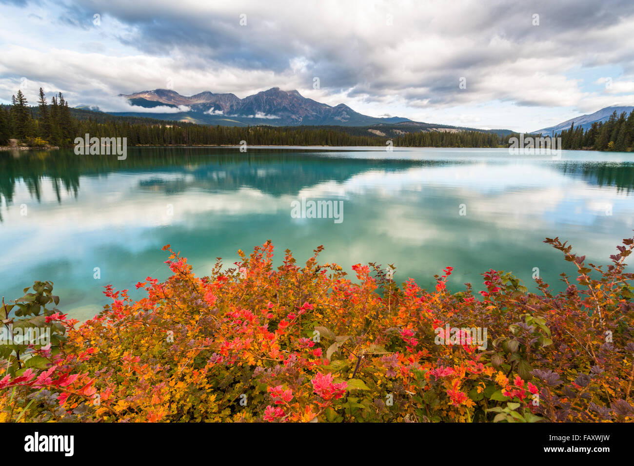 Human pyramid fall hi-res stock photography and images - Alamy