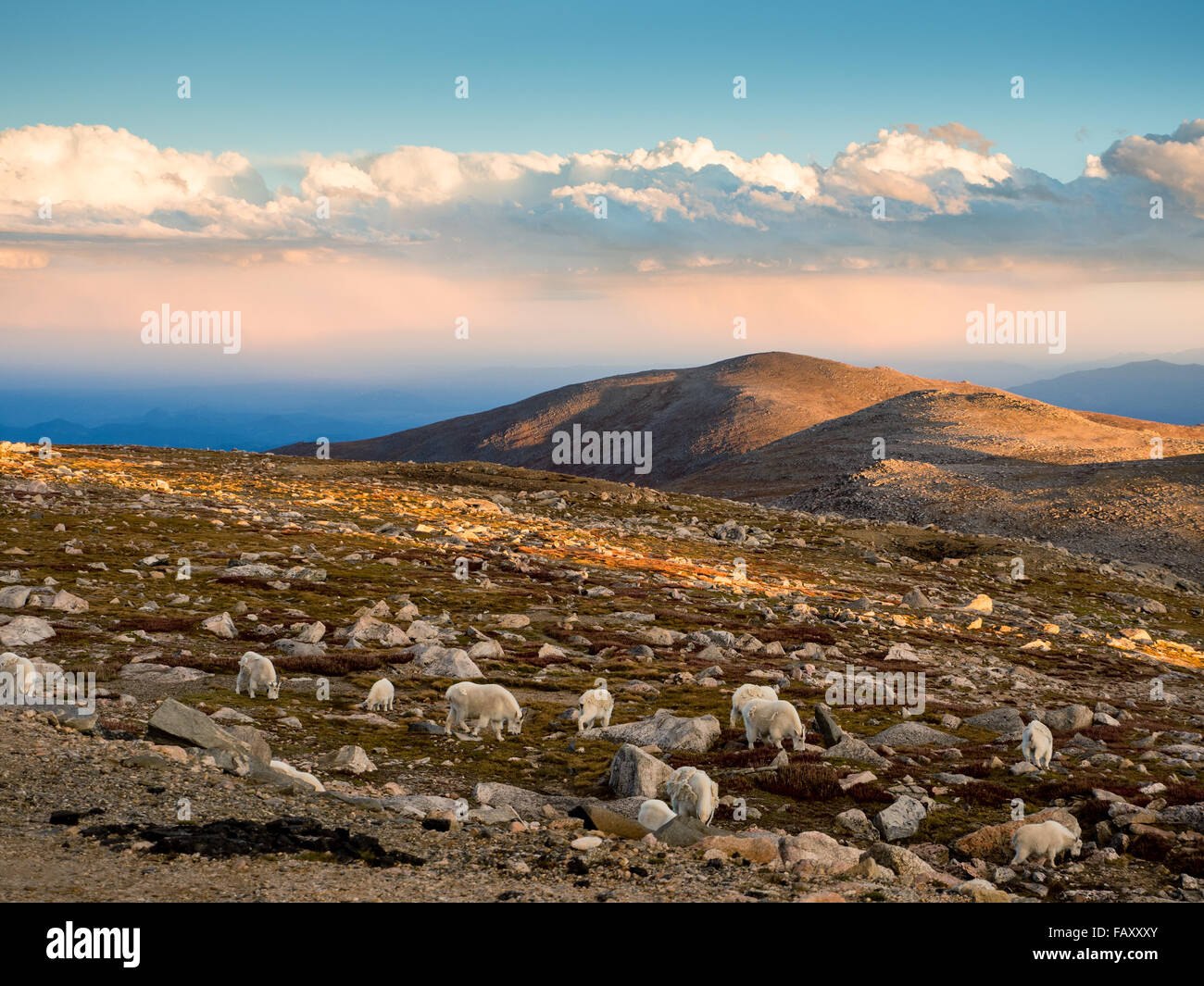 Mount evans scenic byway hi-res stock photography and images - Alamy