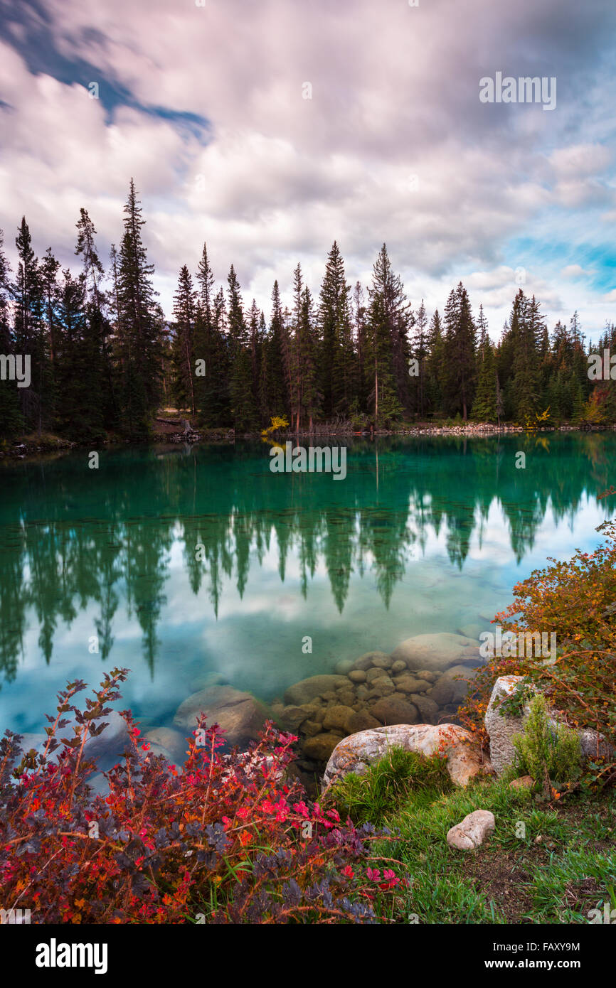 Lac Beauvert, Lake, Jasper Nationalpark, Alberta, Canada Stock Photo ...