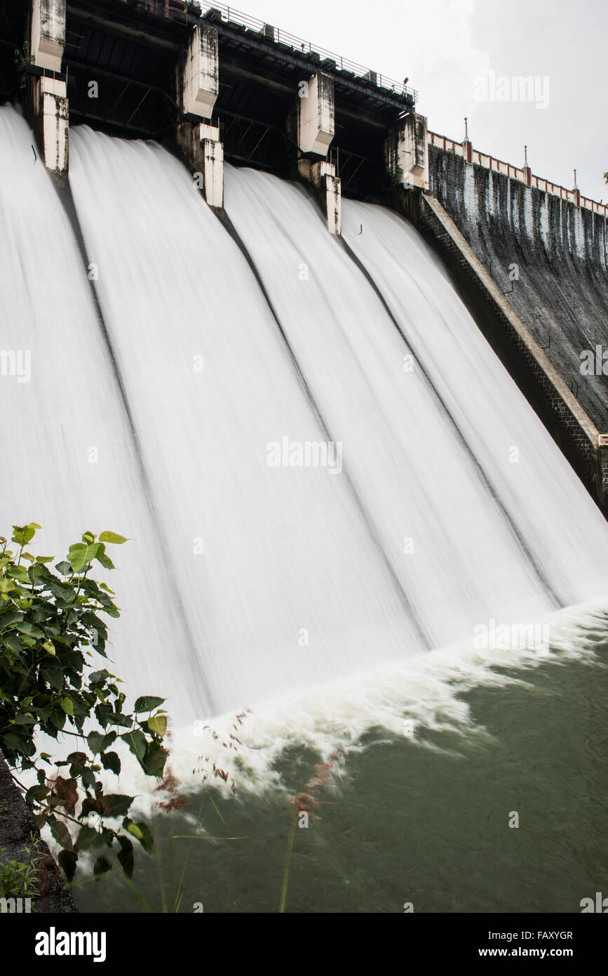 Log gates hi-res stock photography and images - Alamy