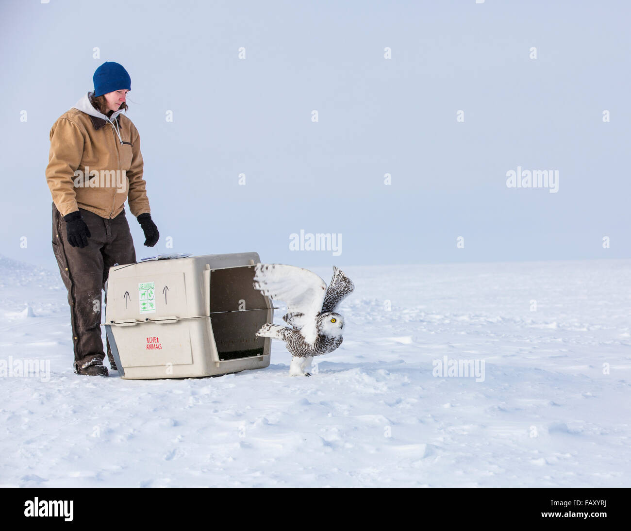 North slope borough hi-res stock photography and images - Alamy