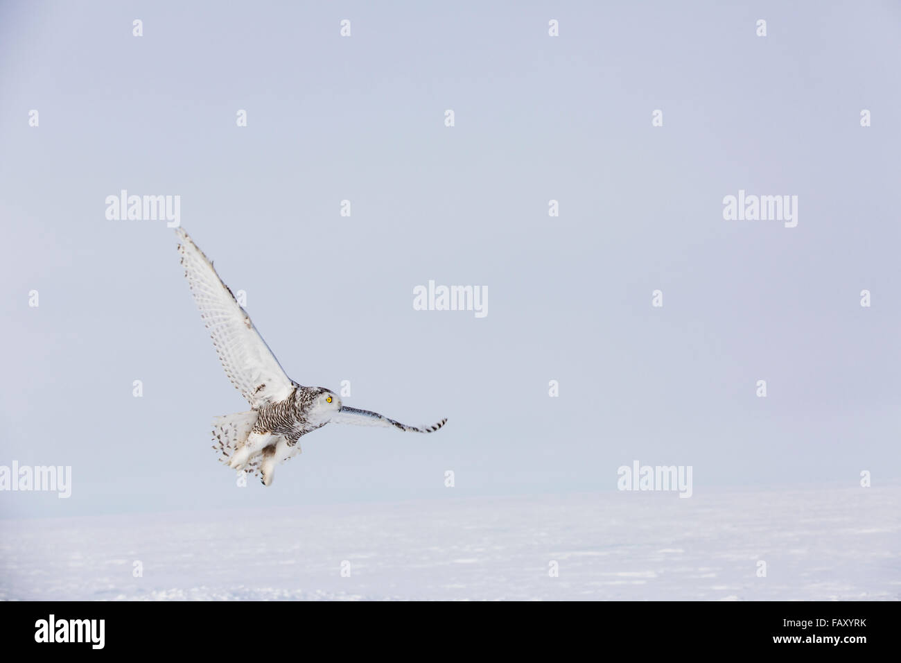 North slope borough hi-res stock photography and images - Alamy