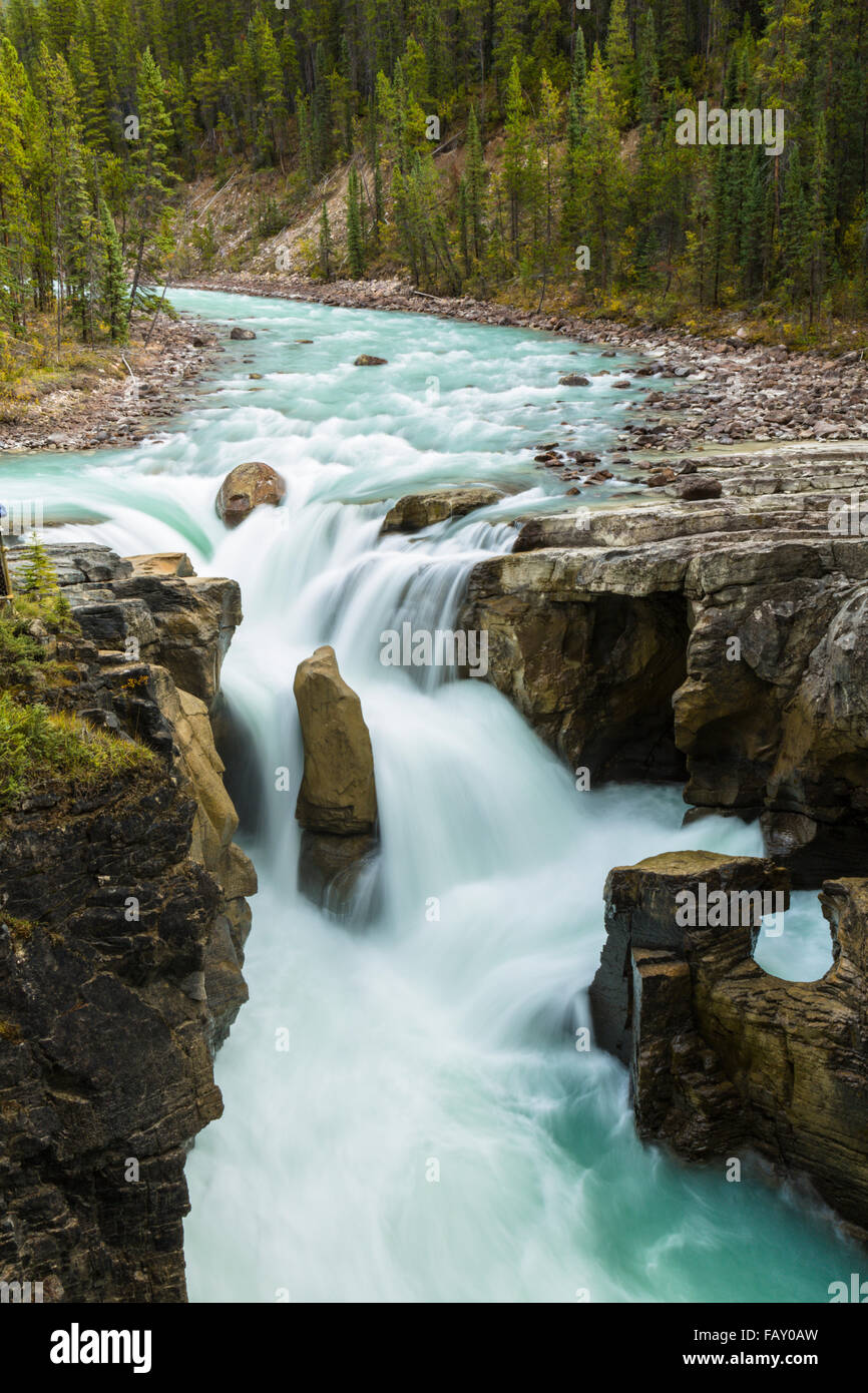 Waterfall, Sunwapta Falls, Jasper Nationalpark, Alberta, Canada Stock ...