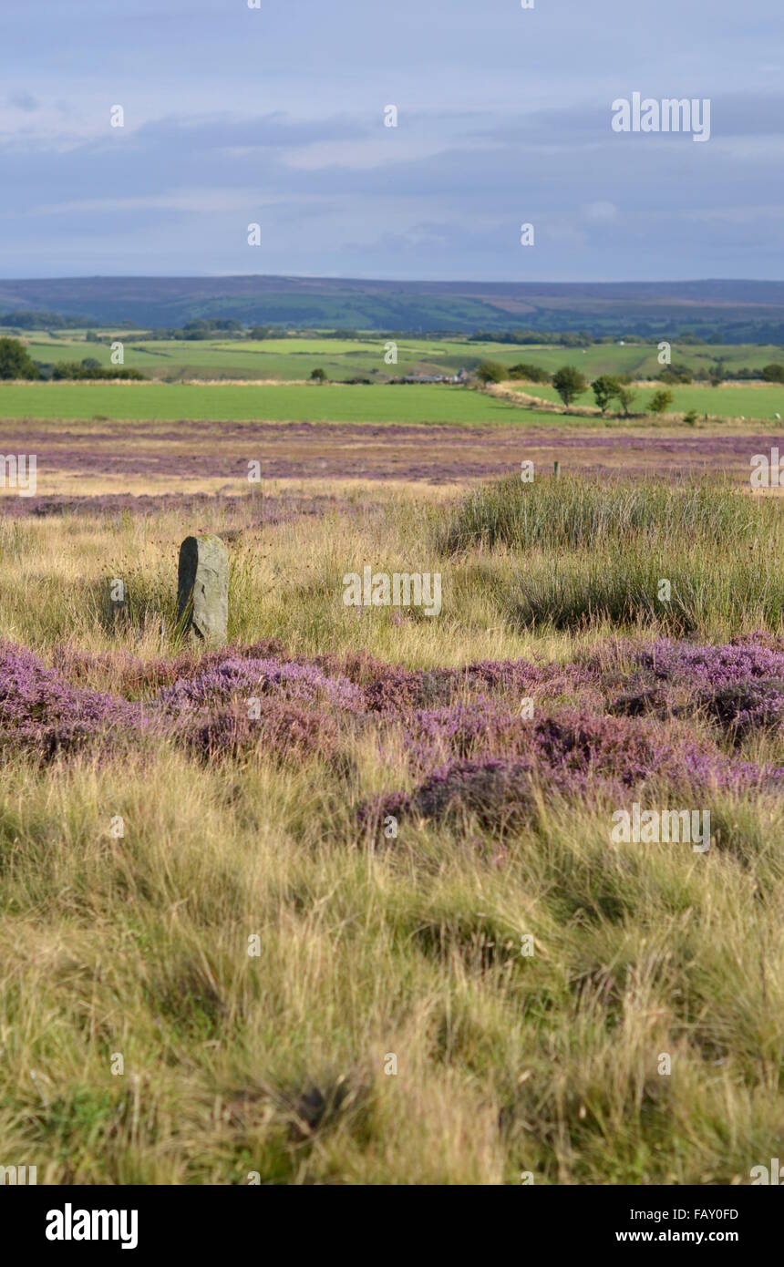 York moors boundary marker hi-res stock photography and images - Alamy