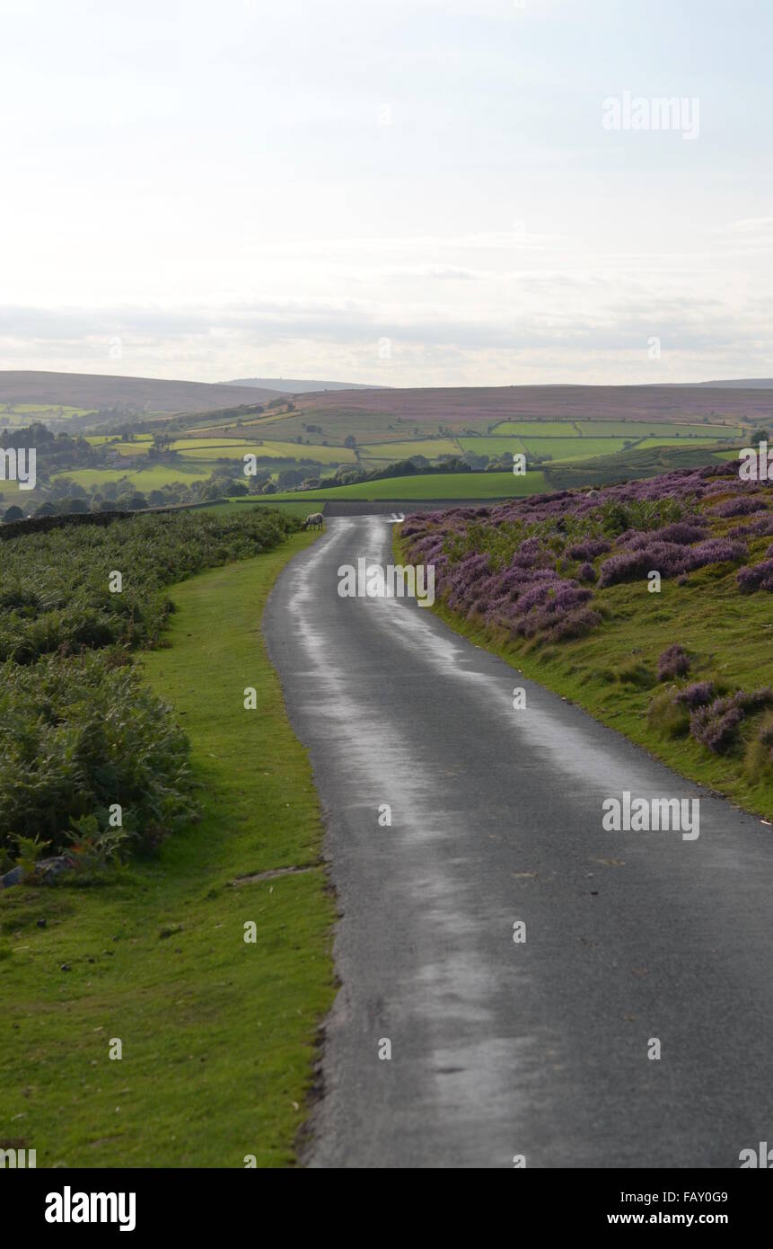 Moors of england hi-res stock photography and images - Alamy