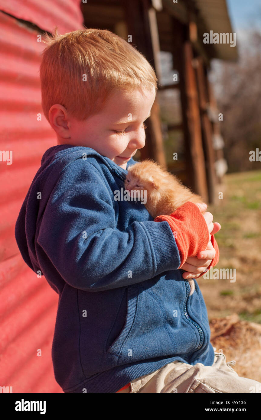 Child boy holding cat kitten hi-res stock photography and images - Alamy