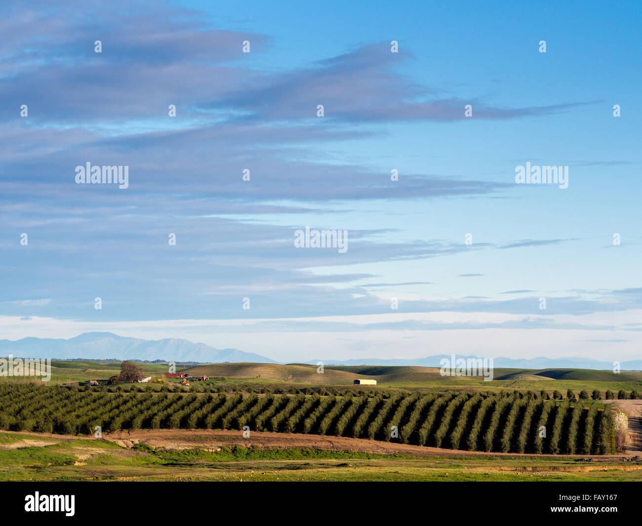 Chico california hi-res stock photography and images - Alamy