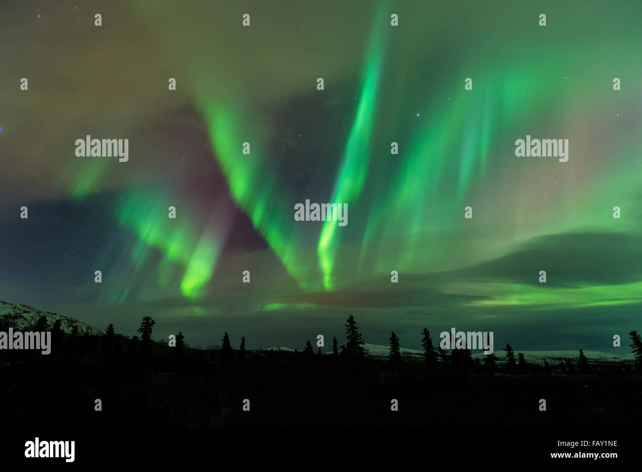 Northern Lights over winter landscape near Whitehorse, Yukon Territory ...