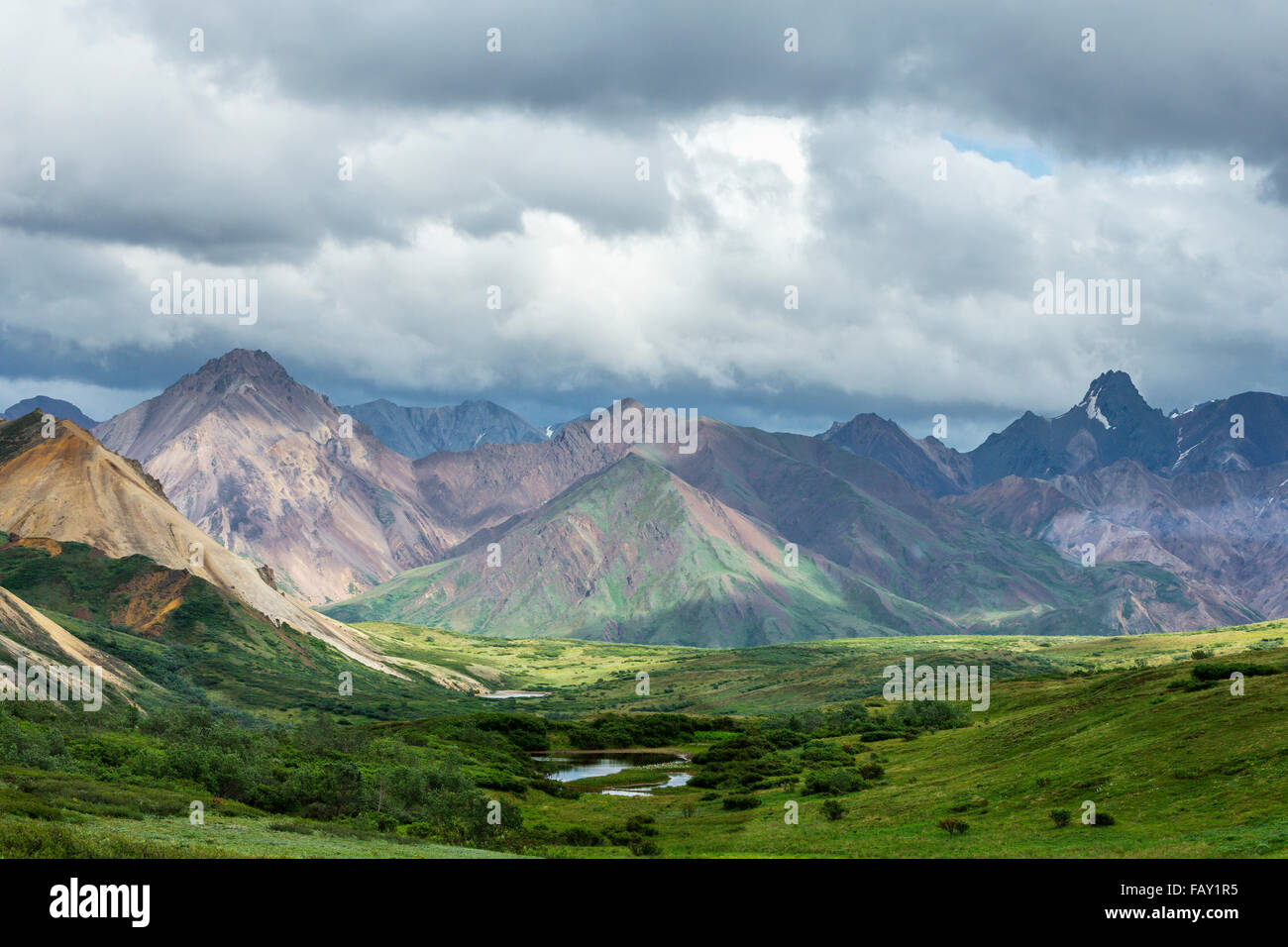 Sable Colour High Resolution Stock Photography and Images - Alamy