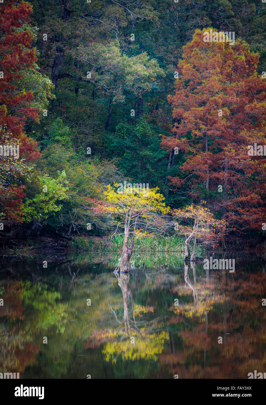 Beavers Bend State Park is a 1,300 acres state park located near Broken ...