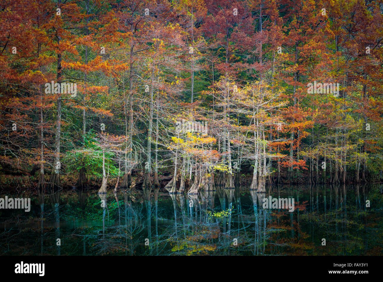Beavers Bend State Park is a 1,300 acres state park located near Broken ...