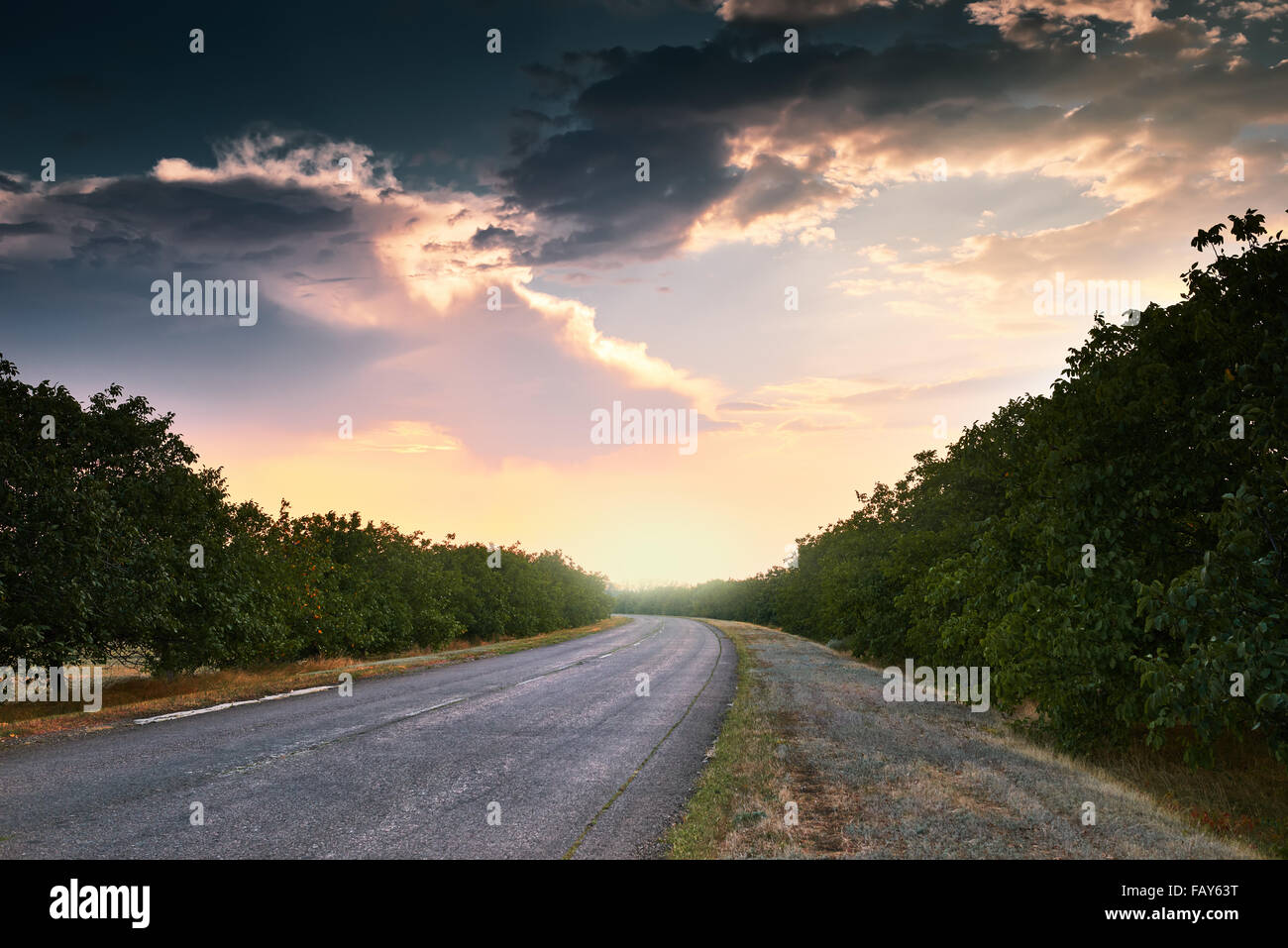 beautiful sunset on road, summer landscape Stock Photo - Alamy