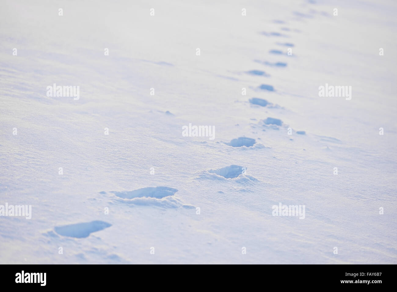 Human footprints in winter hi-res stock photography and images - Alamy