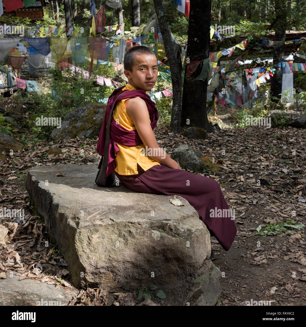 Buddhist monk sitting side view hi-res stock photography and images - Alamy