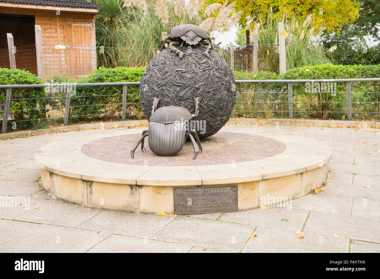 Beetle statue london zoo hi-res stock photography and images - Alamy